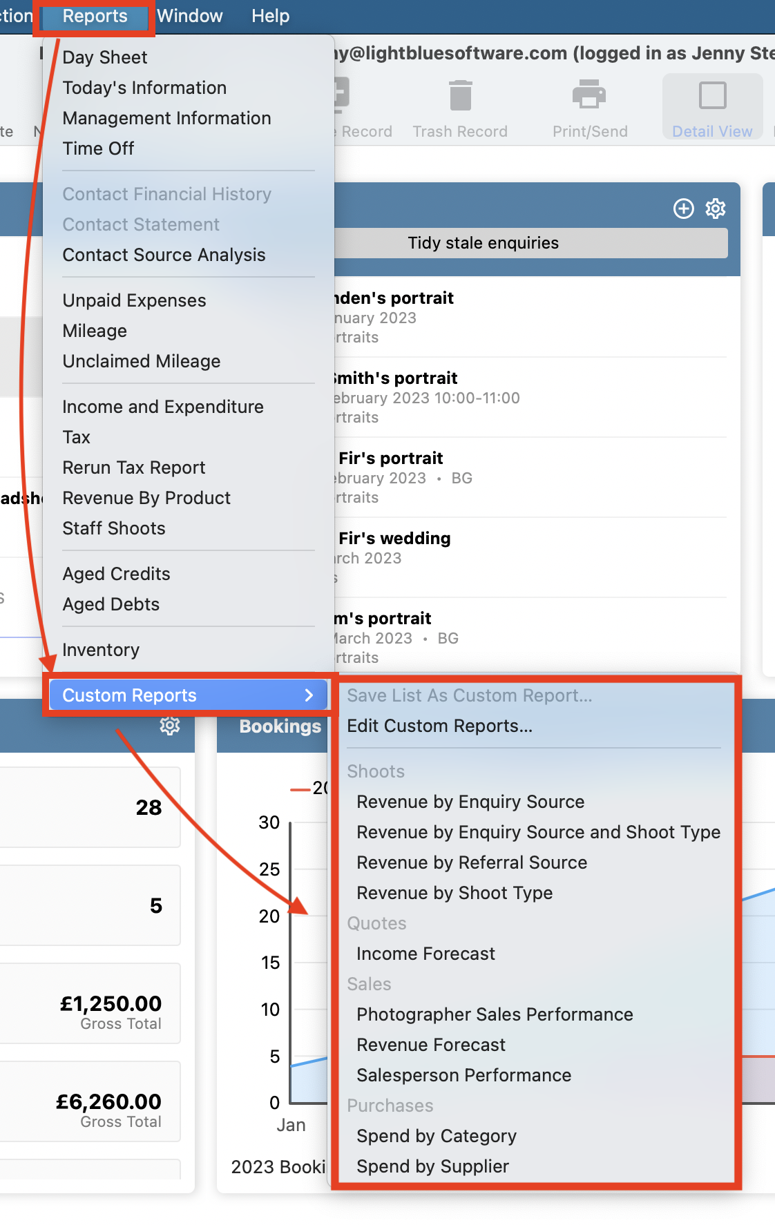 Viewing Custom Reports – Light Blue